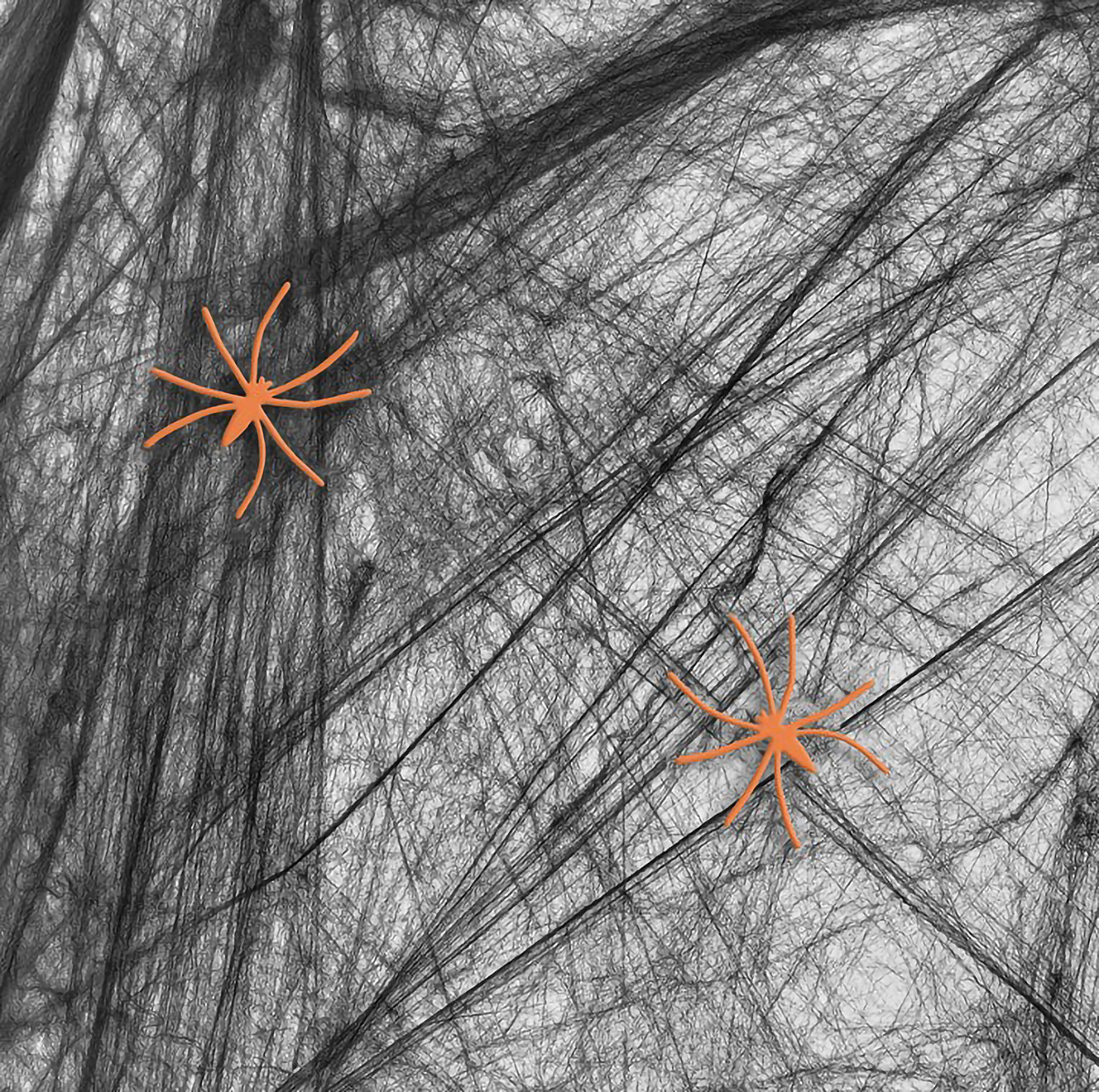 100grams Stretchable Spider Web & Small Spiders, Black – Halloween ...