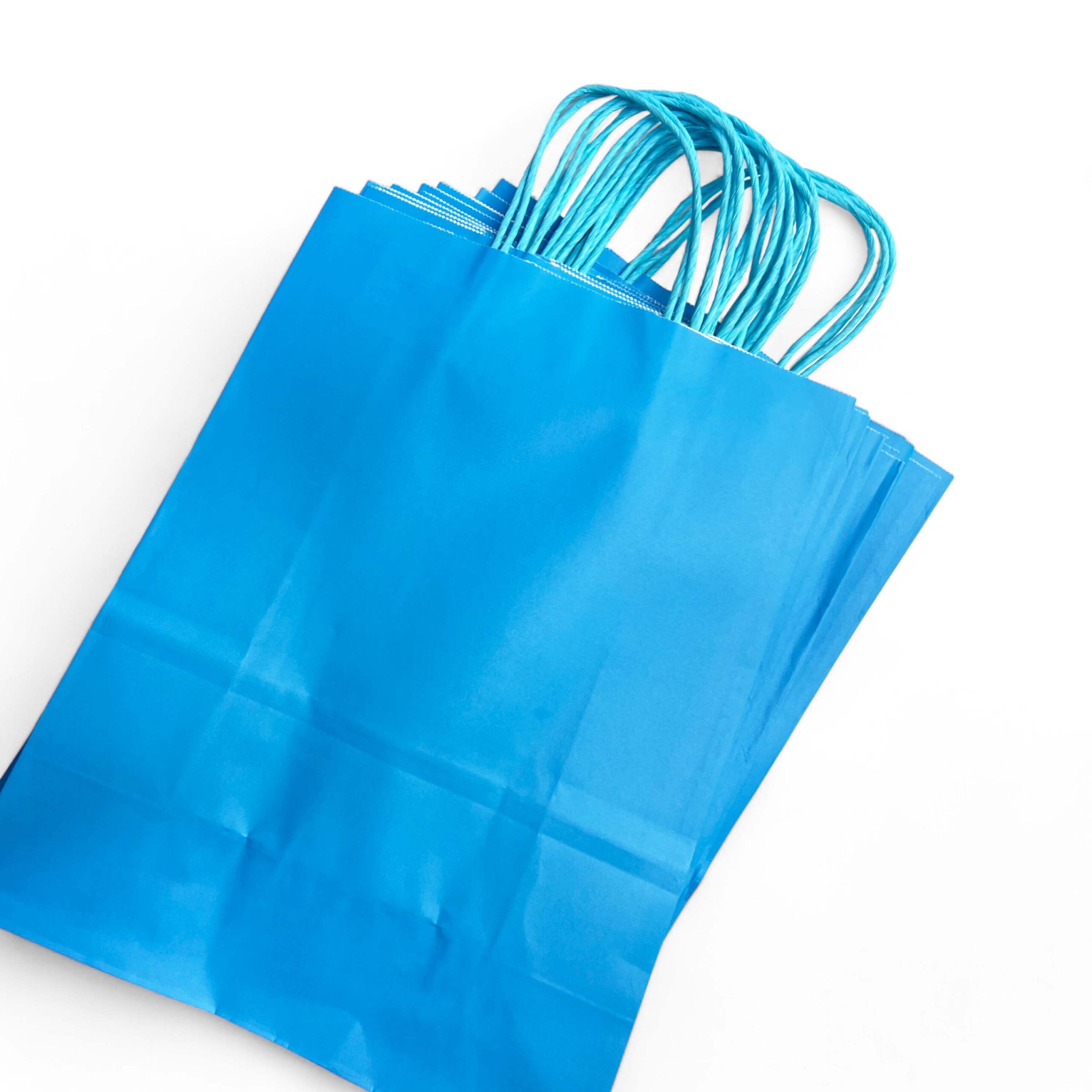 12-Pieces 33x26x12cm Blue Kraft Bags – Party Favor Bag & Gift Paper Bag ...