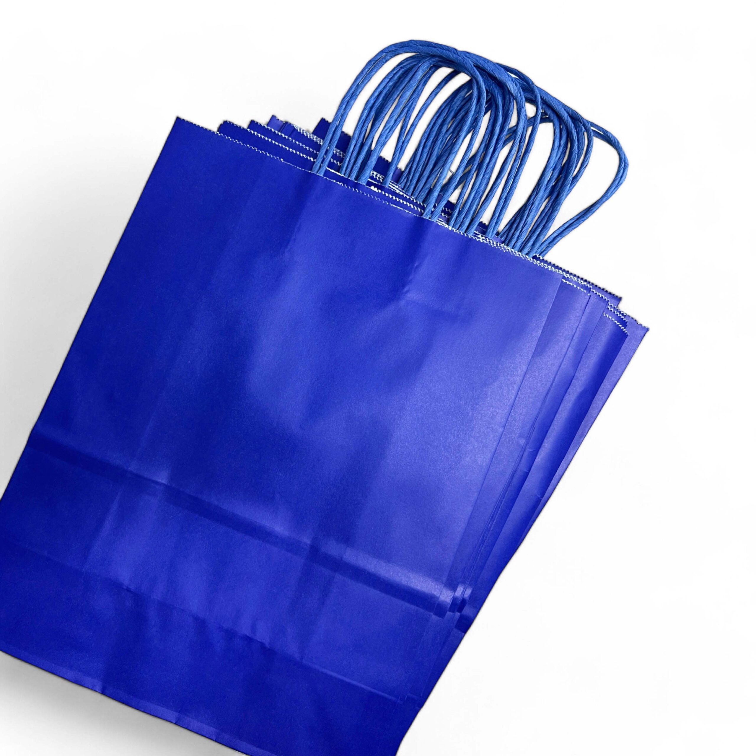 12-Pieces 33x26x12cm Dark Blue Kraft Bags – Party Favor Bag & Gift ...