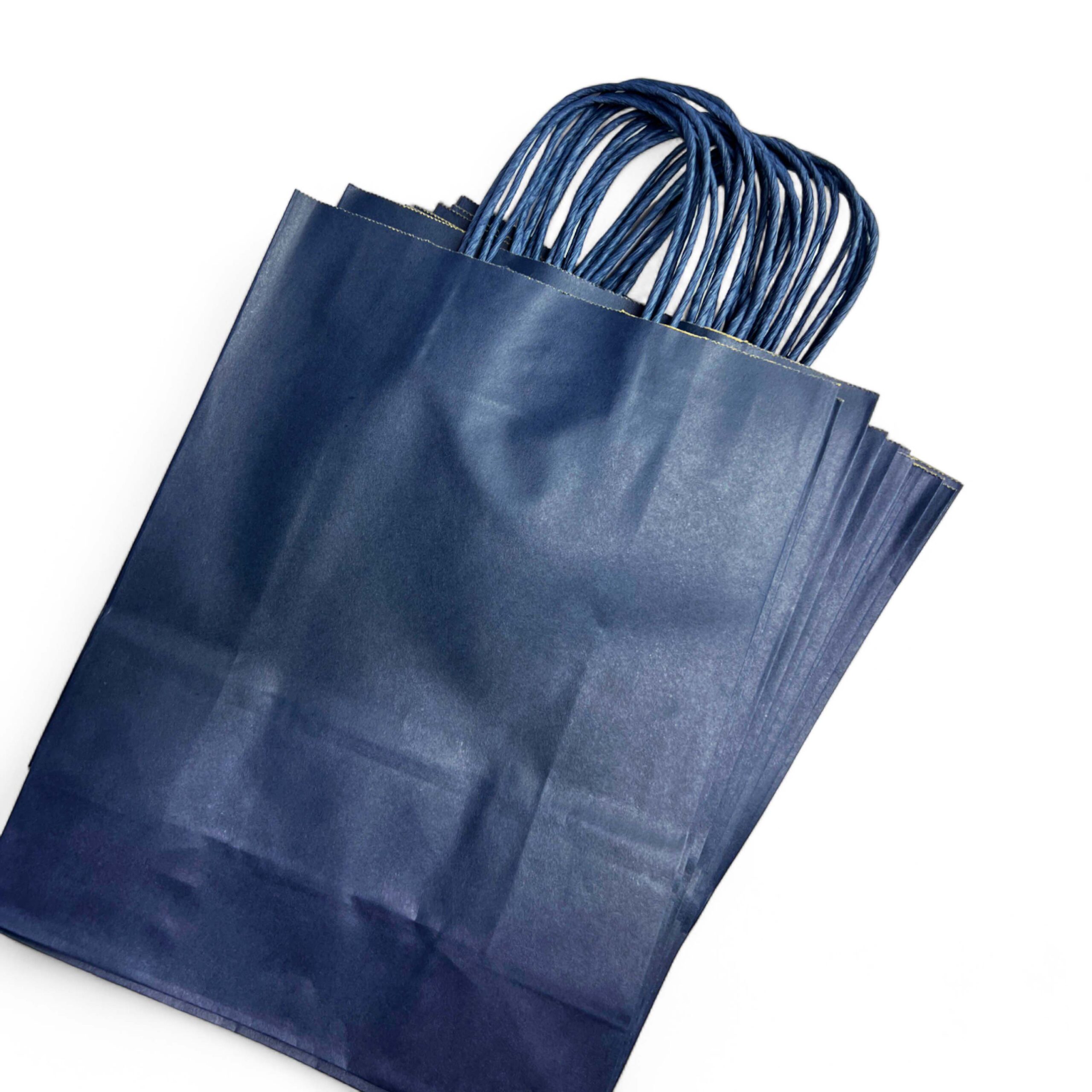 12-Pieces 33x26x12cm Navy Blue Kraft Bags – Party Favor Bag & Gift ...