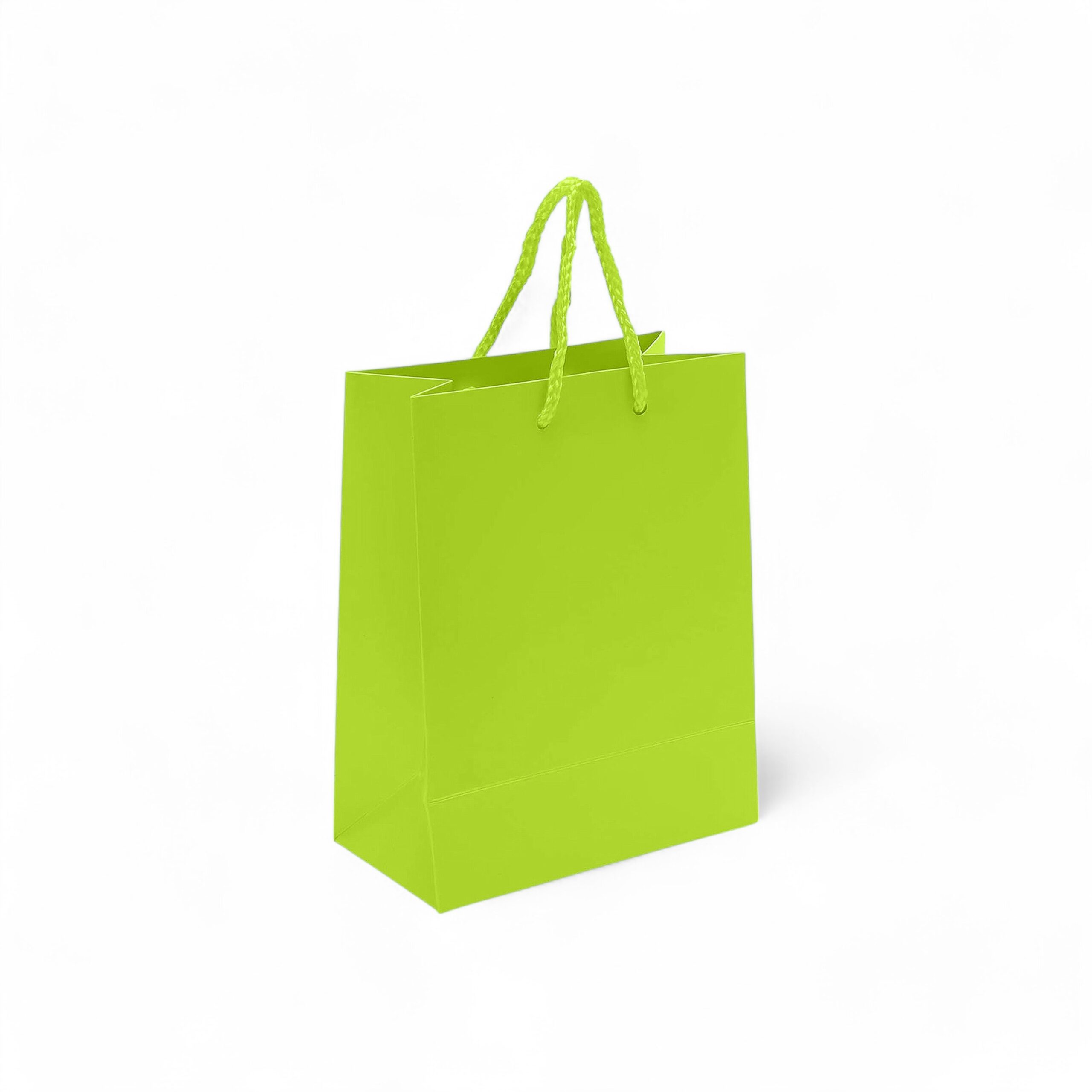 12pcs 23x18x10cm A5 Light Green Paper Bags, Gift Bags – Party Time Dubai